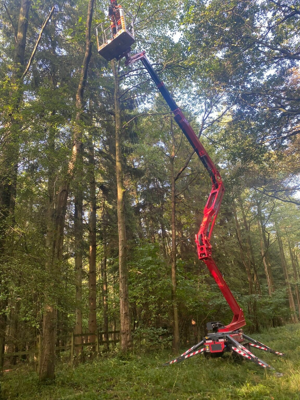 A MEWP with a View - Greenfields Countryside Limited